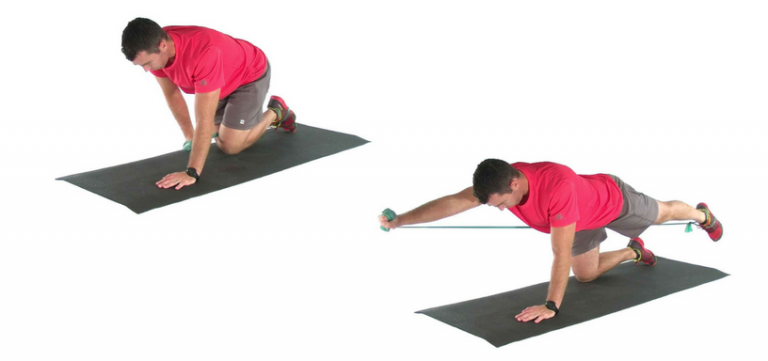 Advanced Bird Dog Exercise Progressions