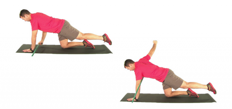 Advanced Bird Dog Exercise Progressions