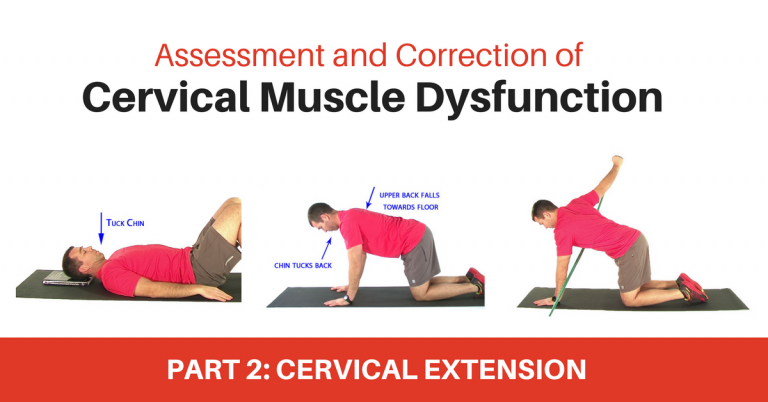 Assessment and Correction of Cervical Dysfunction (1) - My Rehab Connection
