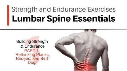 Lower Back Strength Exercises - My Rehab Connection